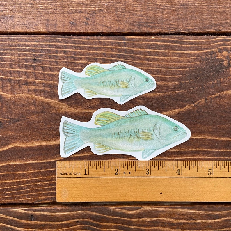 Largemouth Bass Watercolor Vinyl Sticker for Water Bottles | Etsy