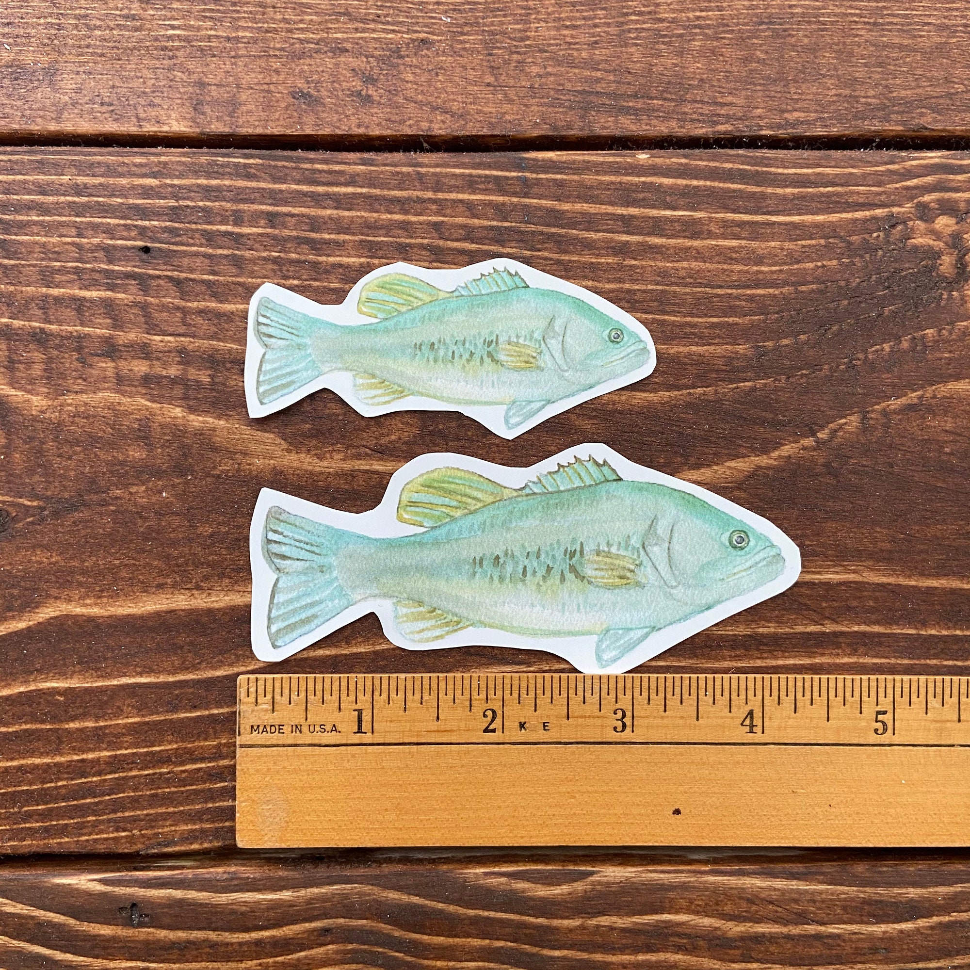 Largemouth Bass Watercolor Vinyl Sticker for Water Bottles | Etsy