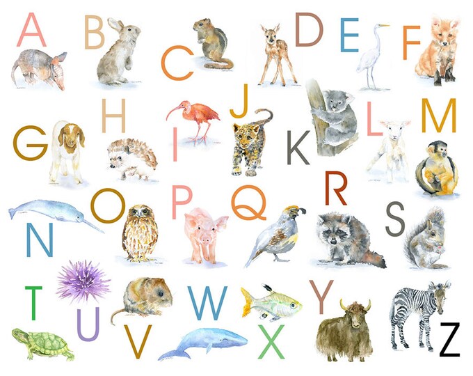 Animal Alphabet Poster - Watercolor Animals 14 X 11 Wall Art - Nursery ...