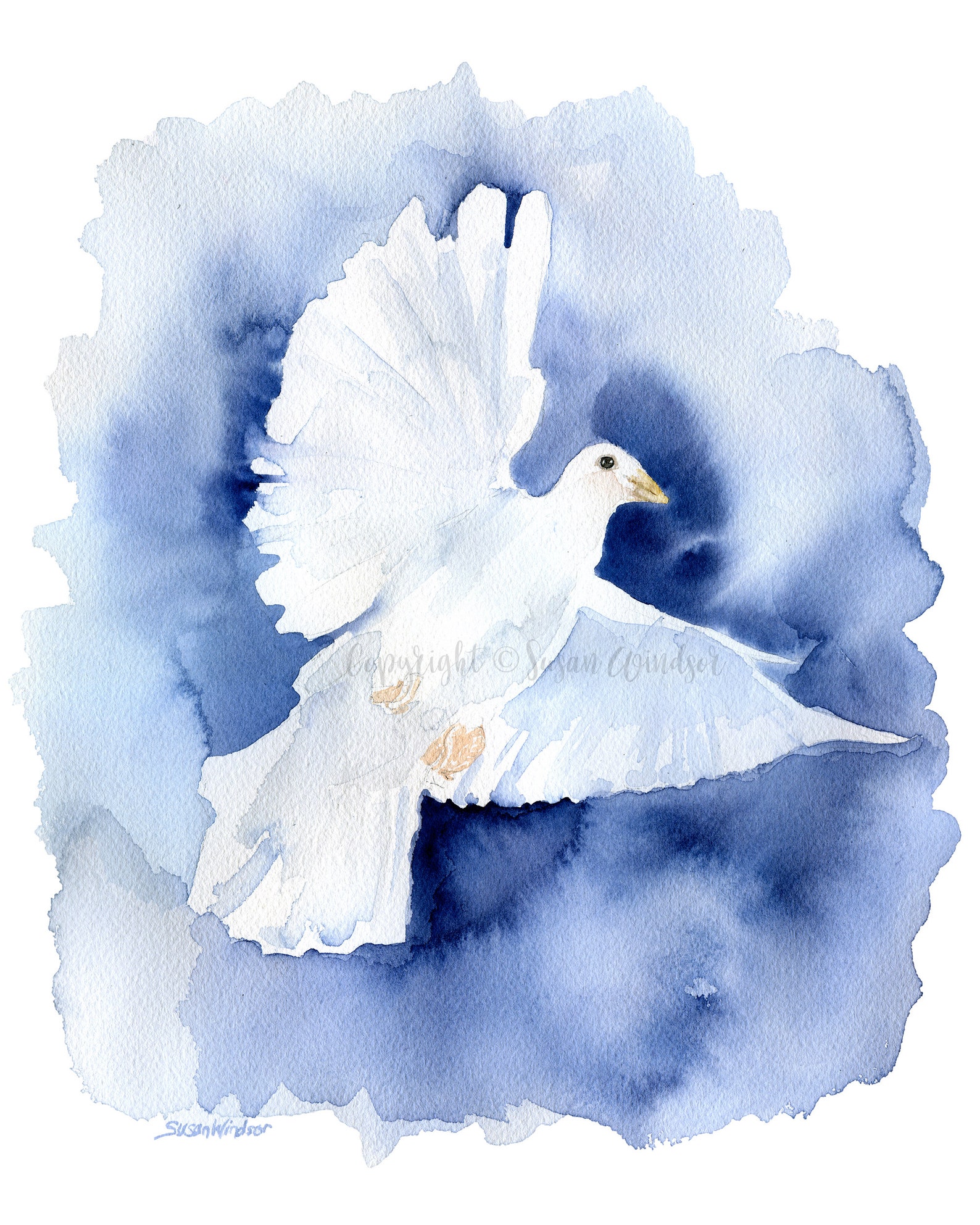 White Dove Watercolor Painting Bird Giclee Print | Etsy