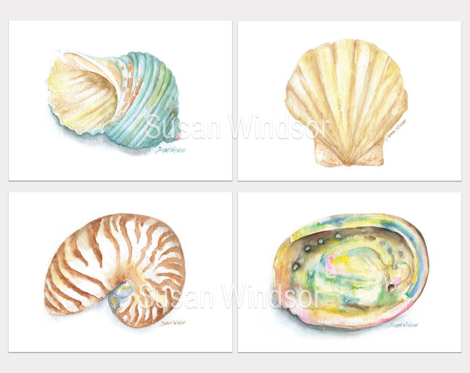 Seashell Art Prints Set of 4 Abalone Turbin Clam Nautilus Ocean Beach ...