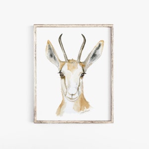 Springbok Antelope Watercolor Painting Giclee Print 5x7 Nursery Art ...