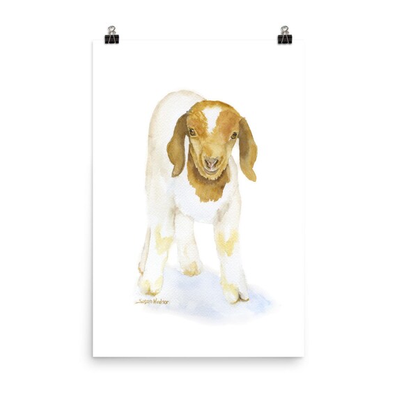 Watercolor Painting Goat Watercolor Painting Large Poster etna.com.pe