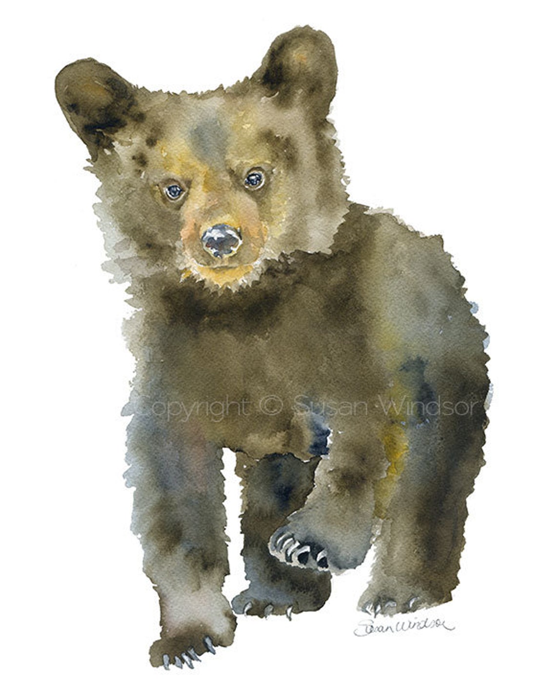 Black Bear Cub Watercolor Painting Giclee Print Fine Art Print - Etsy