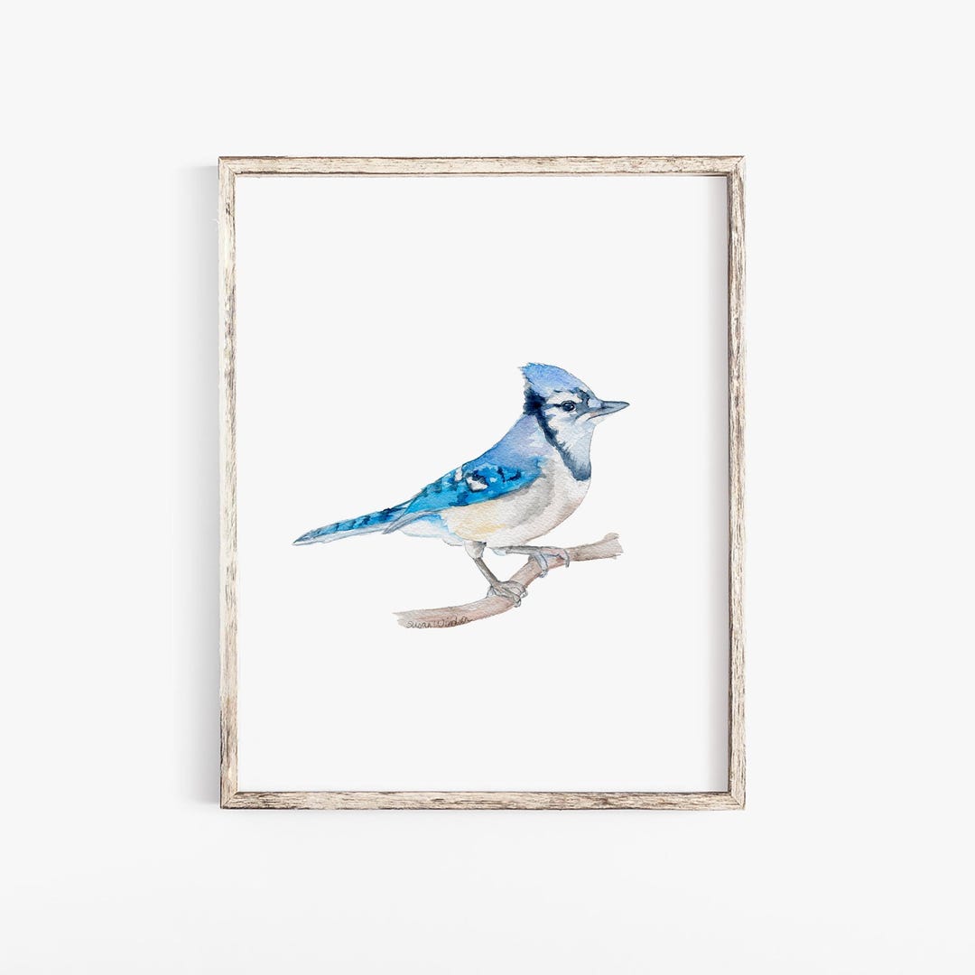 Bluejay 2 Watercolor Fine Art Print Large Poster Art UNFRAMED - Etsy
