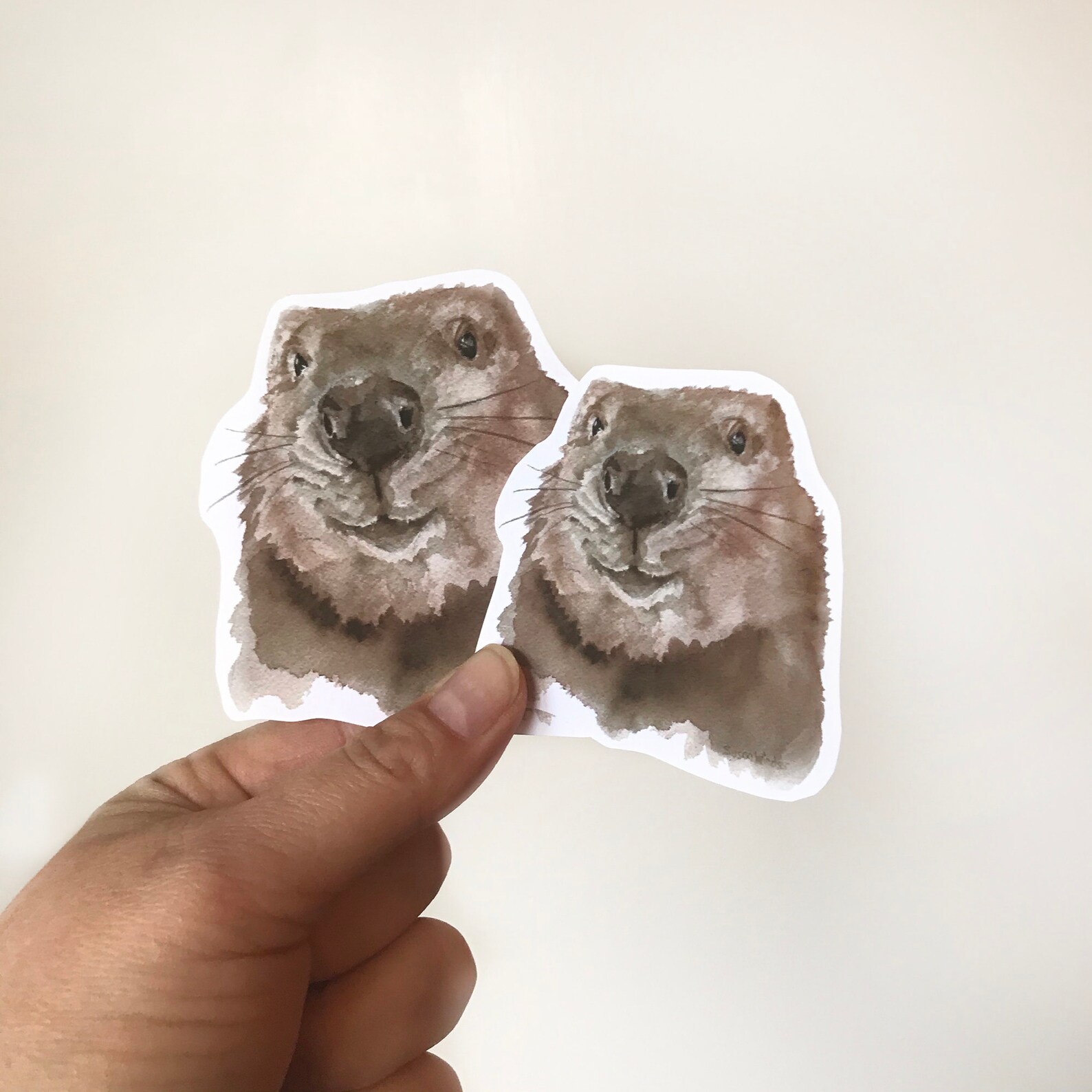 Beaver Face Watercolor Vinyl Sticker - for Water Bottles Laptops - Etsy