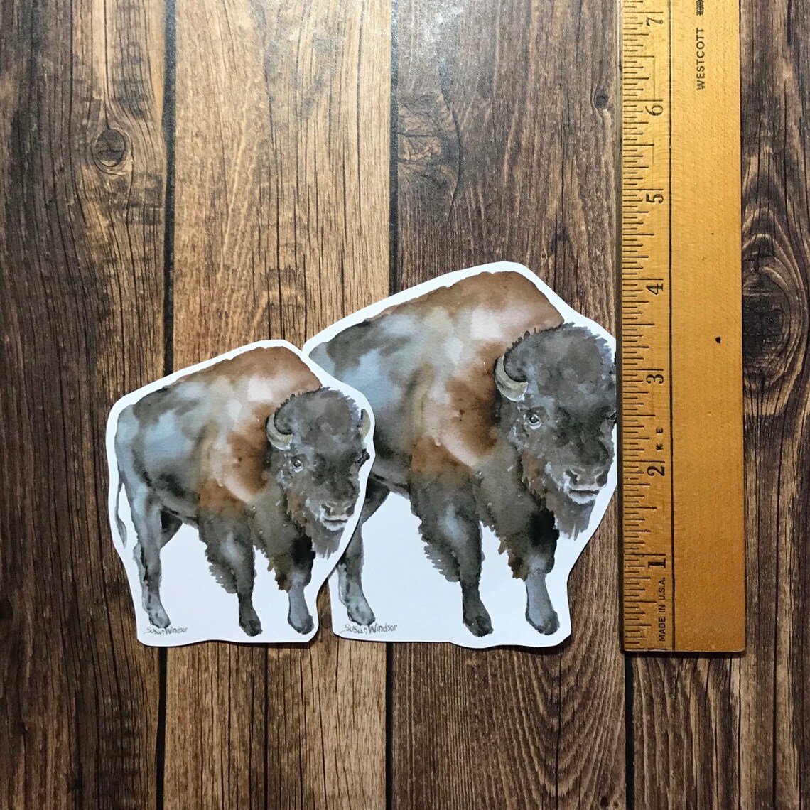 American Bison Vinyl Sticker for Water Bottles and Laptops - Etsy