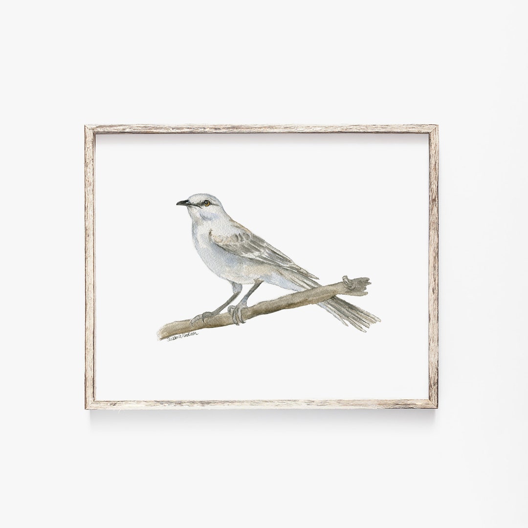 Mockingbird Watercolor Painting Giclee Print - Woodland Animal - Bird ...