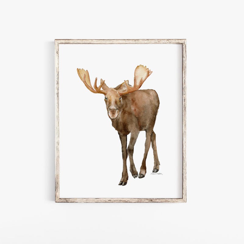 SusanWindsor - Etsy UK