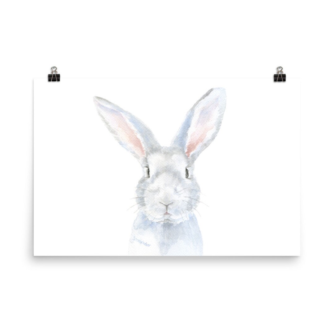 Gray Bunny Rabbit Large Print 36x24 - Landscape Format Unframed - Etsy