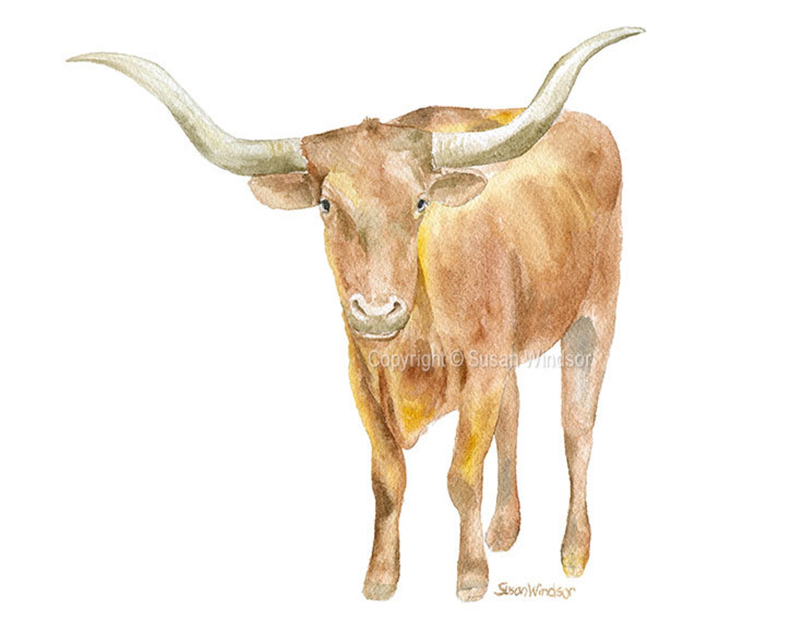 Texas Animals Watercolor Card Set Greeting Cards 5x7 A7 Size - Western ...