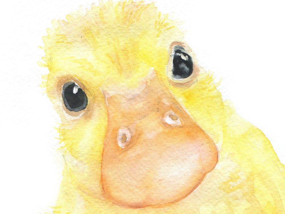 Duckling Watercolor Painting Fine Art Print Giclee Print | Etsy