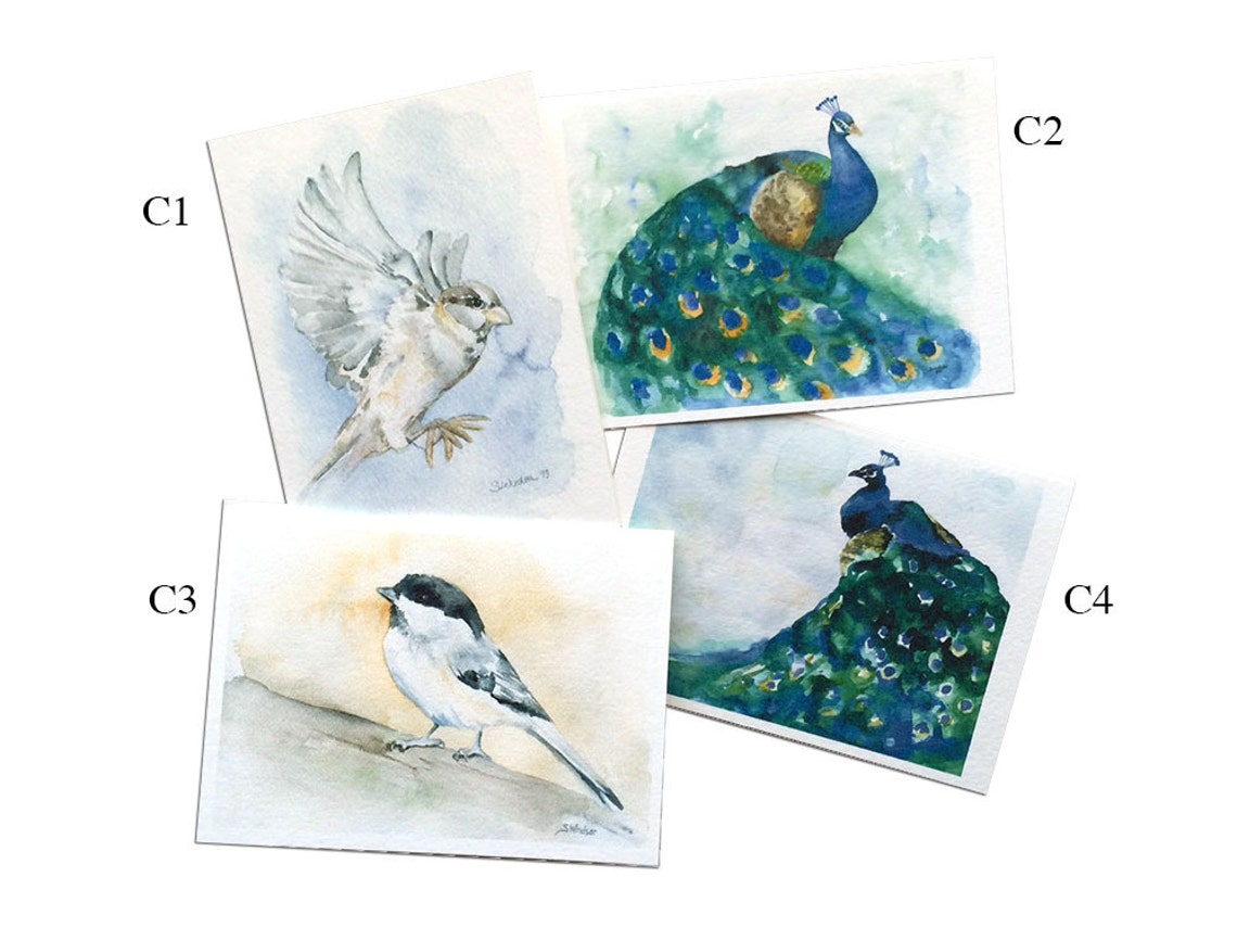 Watercolor Bird Greeting Cards Set of 5 5 x 7 Mix and | Etsy