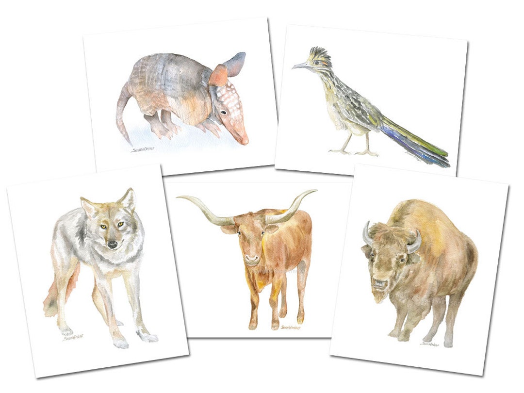 Texas Animals Watercolor Card Set Greeting Cards 5x7 A7 Size - Western ...