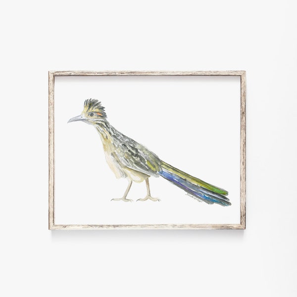 Roadrunner Art Print - Etsy