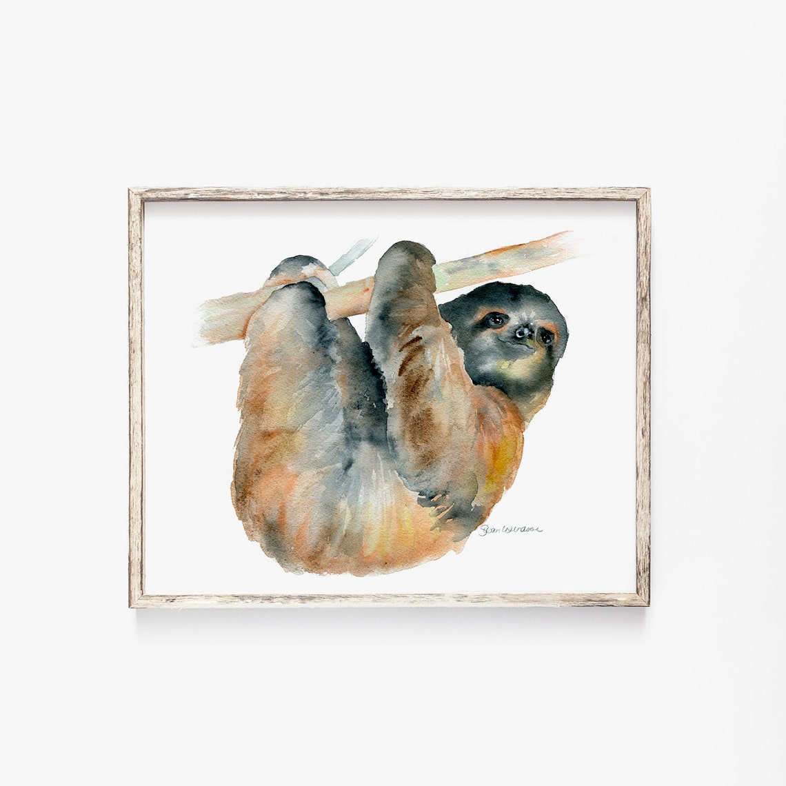 Sloth Watercolor Painting Giclee Print | Etsy