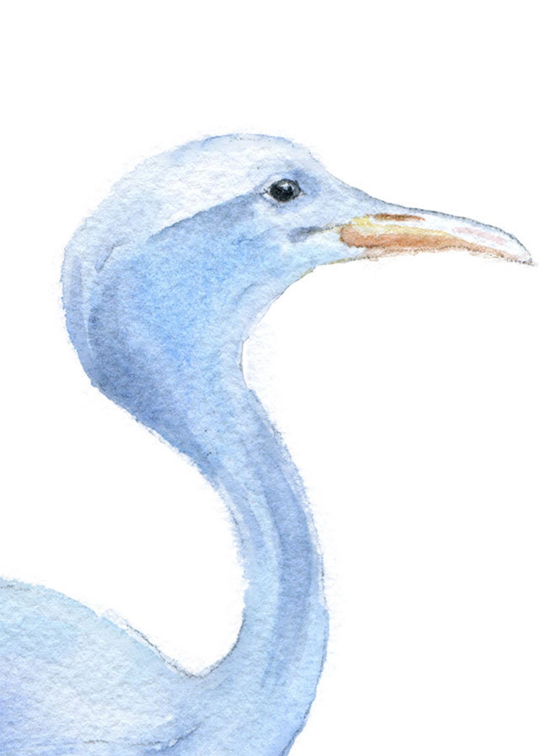 Blue Crane Watercolor Painting Giclee Print 8 X 10 Bird - Etsy