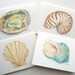 Seashell Watercolor Painting Note Card Set of 4 Seashell - Etsy