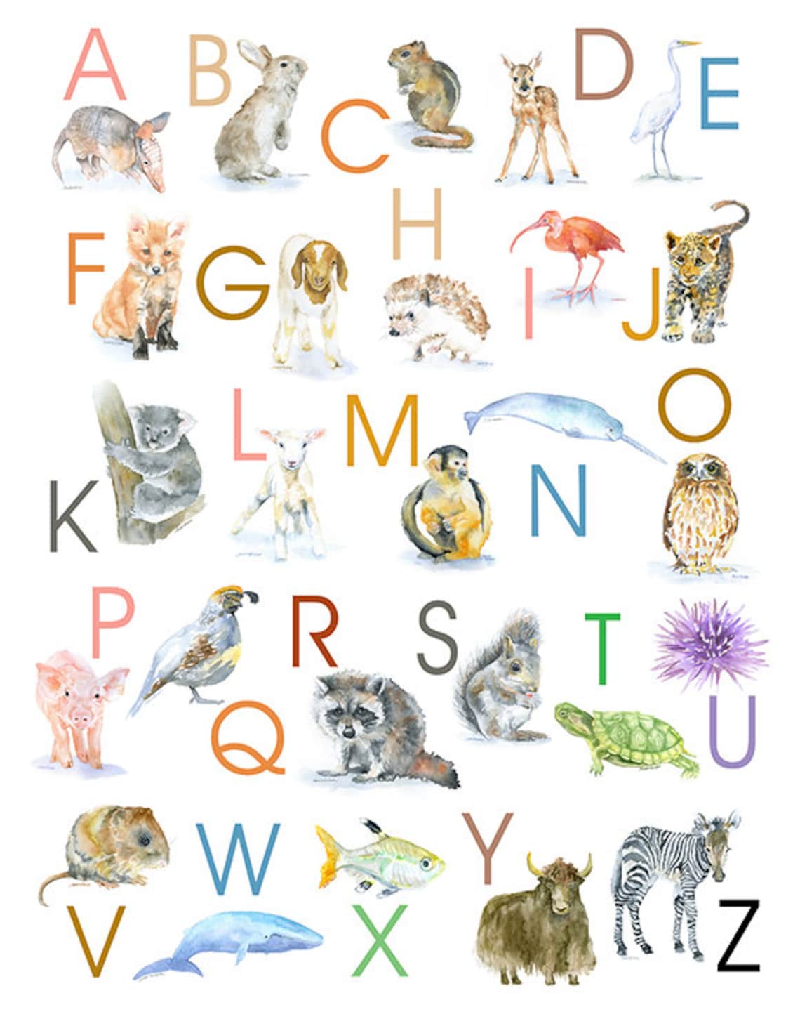 Animal Alphabet and Numbers Poster Set - Watercolor Animals 11 X 14 ...