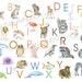 Animal Alphabet Large Poster - Watercolor Animals - Nursery Art Abcs ...