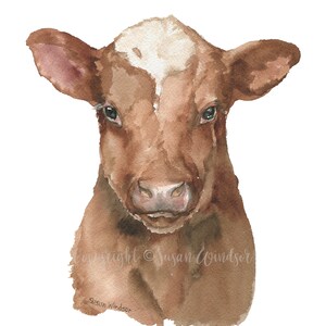 Baby Calves Watercolor Art Prints Set of 4 Cow Calf Cattle Art Unframed ...