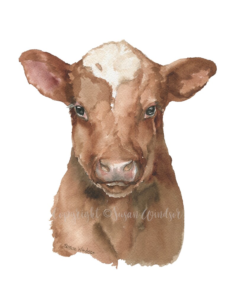 Baby Calves Watercolor Art Prints Set of 4 Cow Calf Cattle Art Unframed ...
