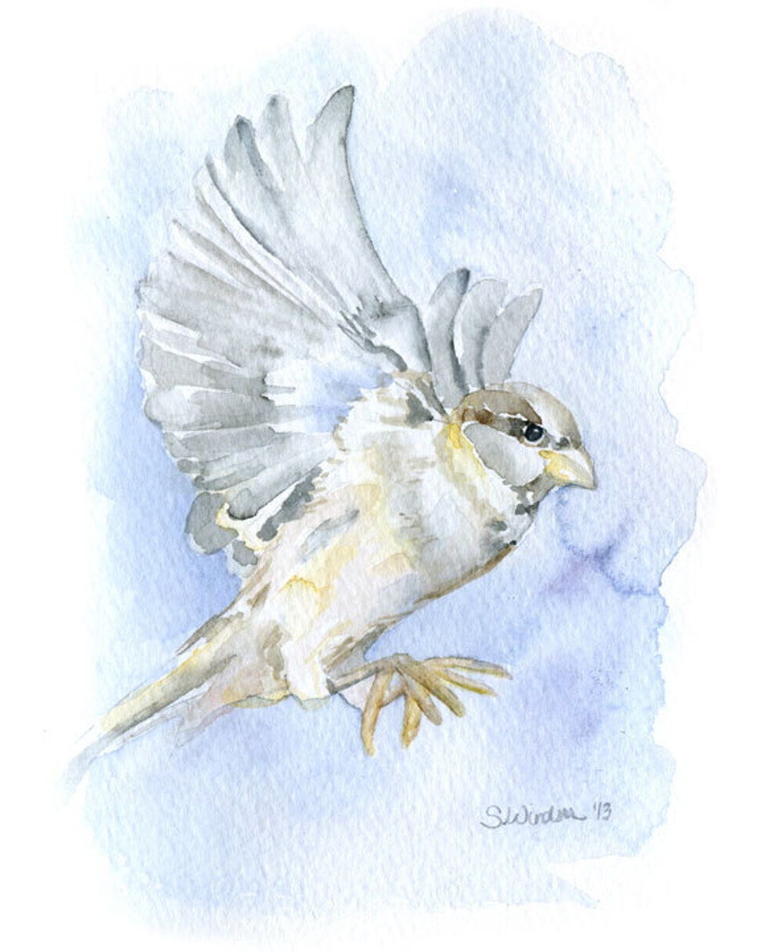 Sparrow Watercolor Painting Bird Giclee Print UNFRAMED - Etsy
