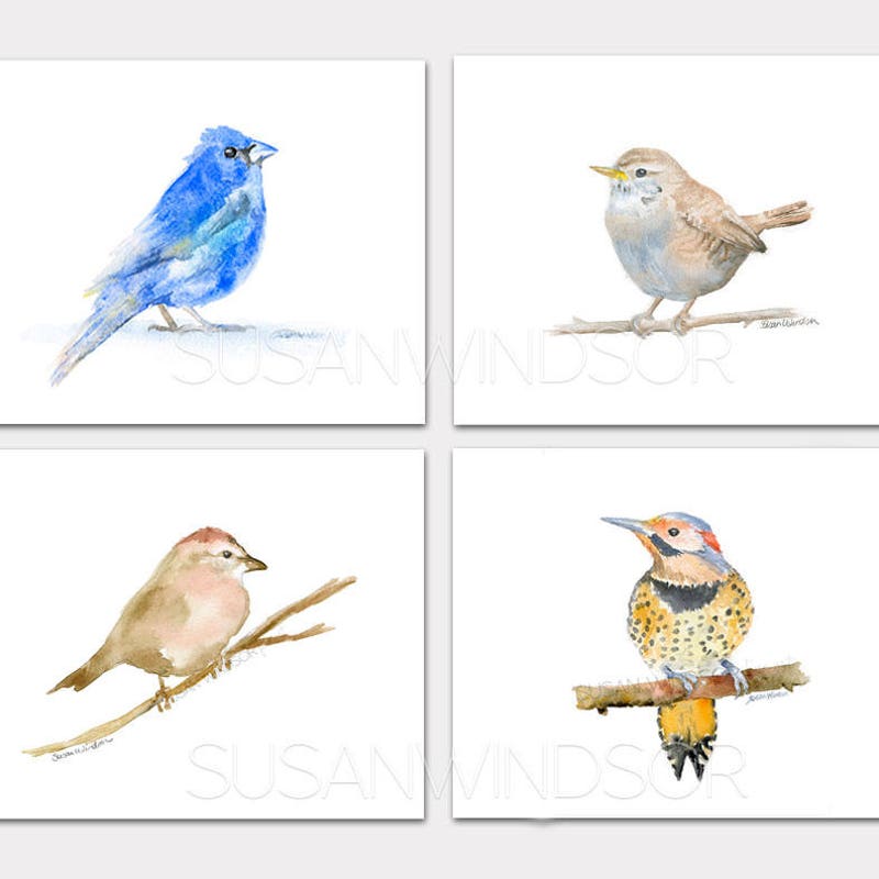 Bird Watercolor - Etsy