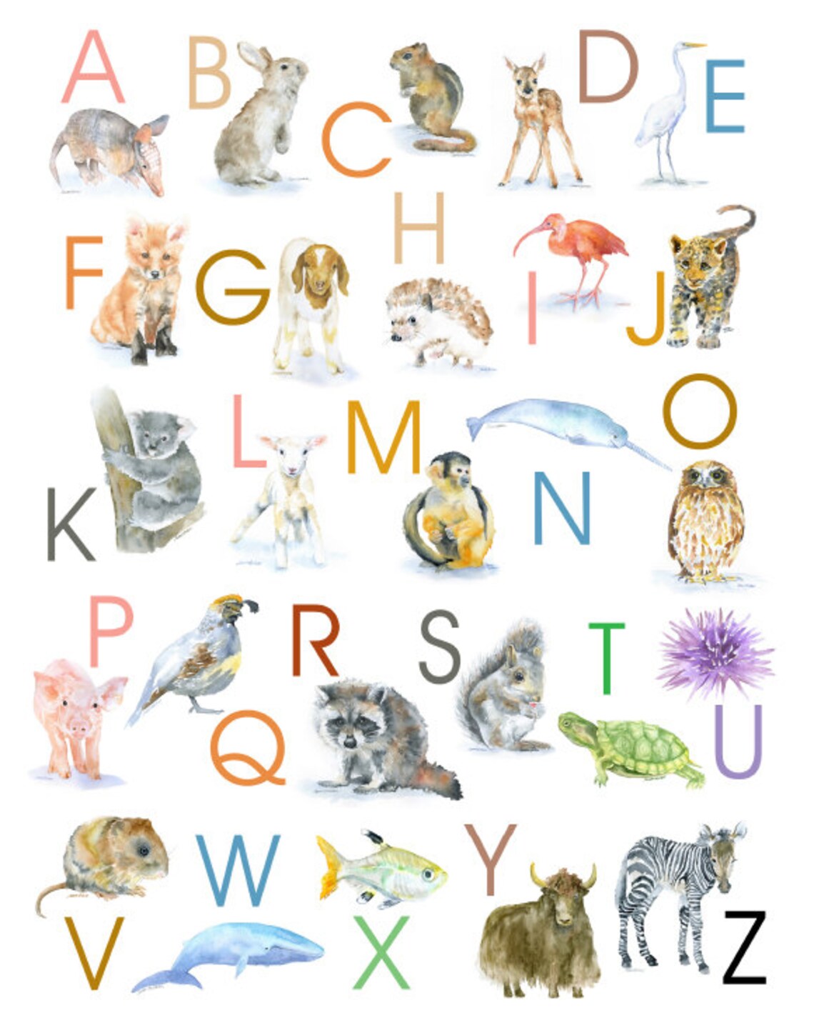 Alphabet Animals Watercolor Poster 8 X 10 Nursery Art - Etsy