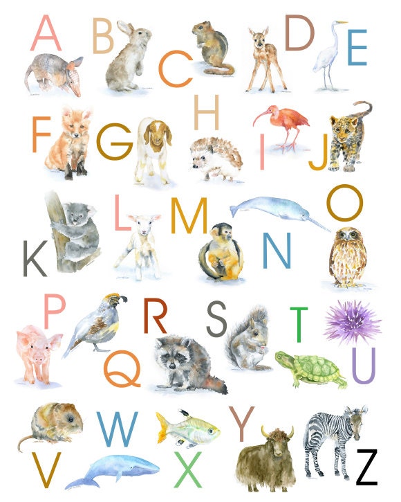 Alphabet Animals Watercolor Poster - 8 X 10 - Nursery Art - ABC Wall ...