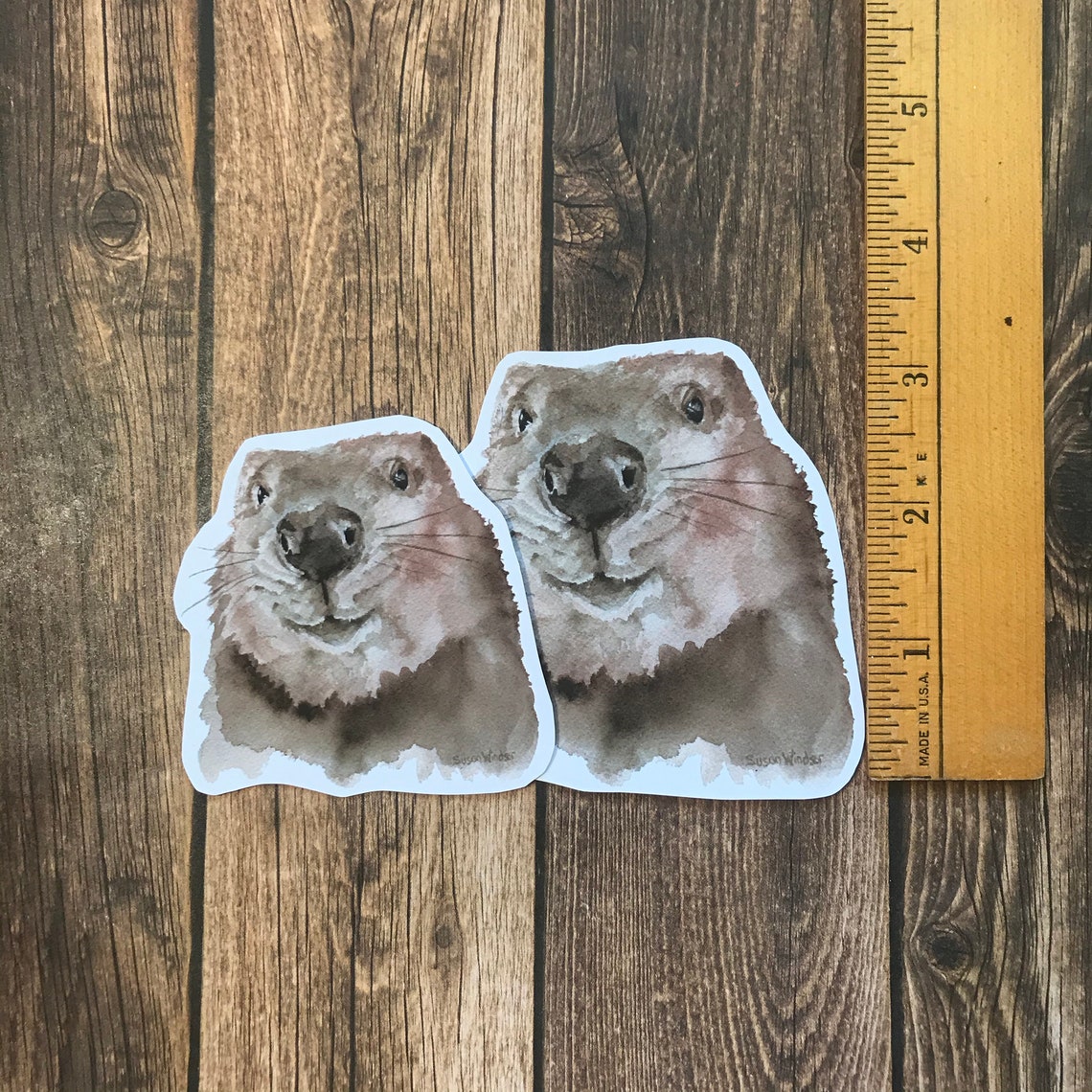 Beaver Face Watercolor Vinyl Sticker - for Water Bottles Laptops - Etsy