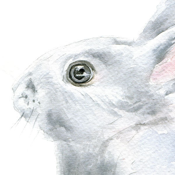 Watercolor Painting Bunny Gray Bunny Rabbit Nursery Art - Etsy