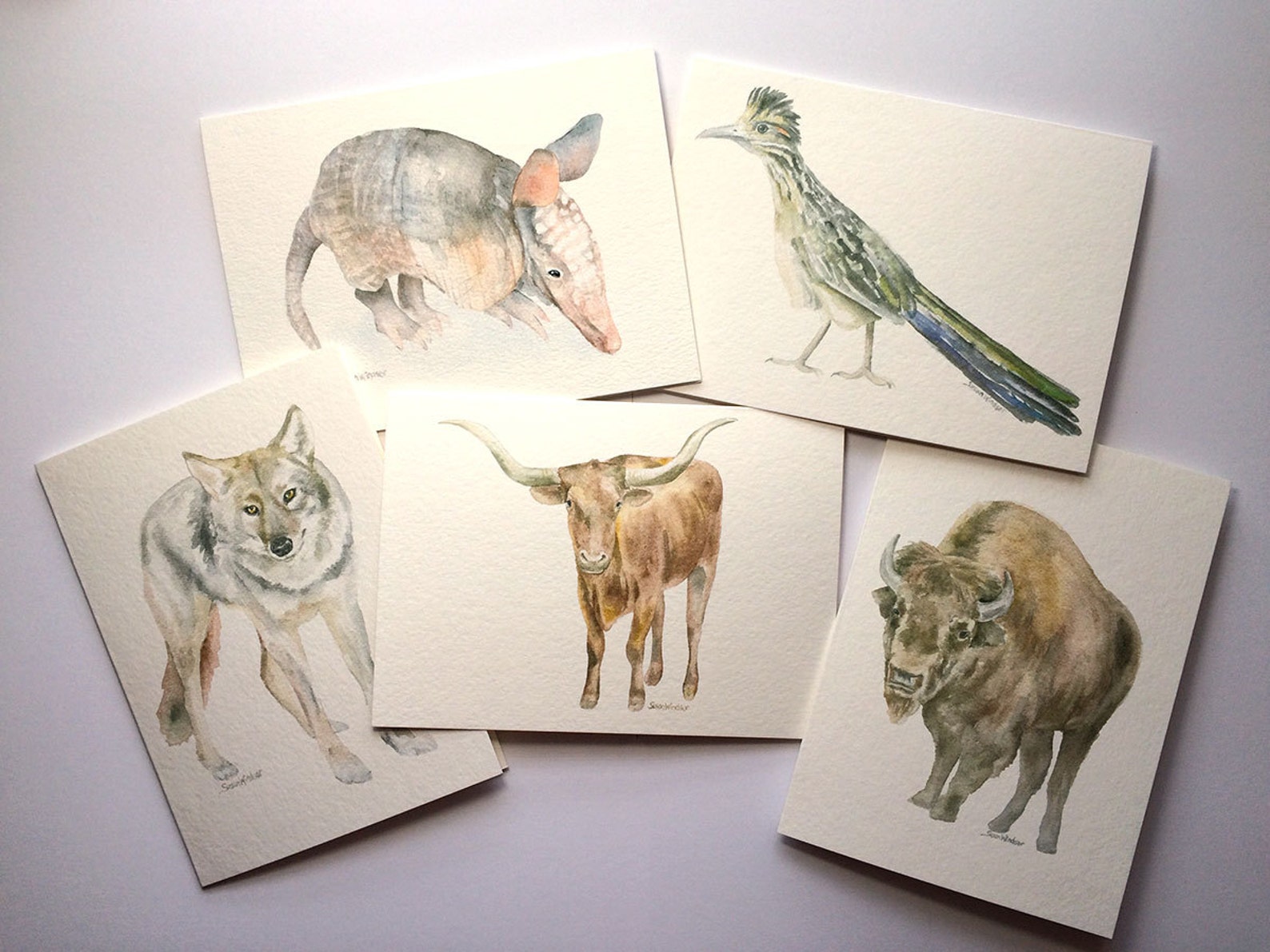 Texas Animals Watercolor Card Set Greeting Cards 5x7 A7 Size - Western ...