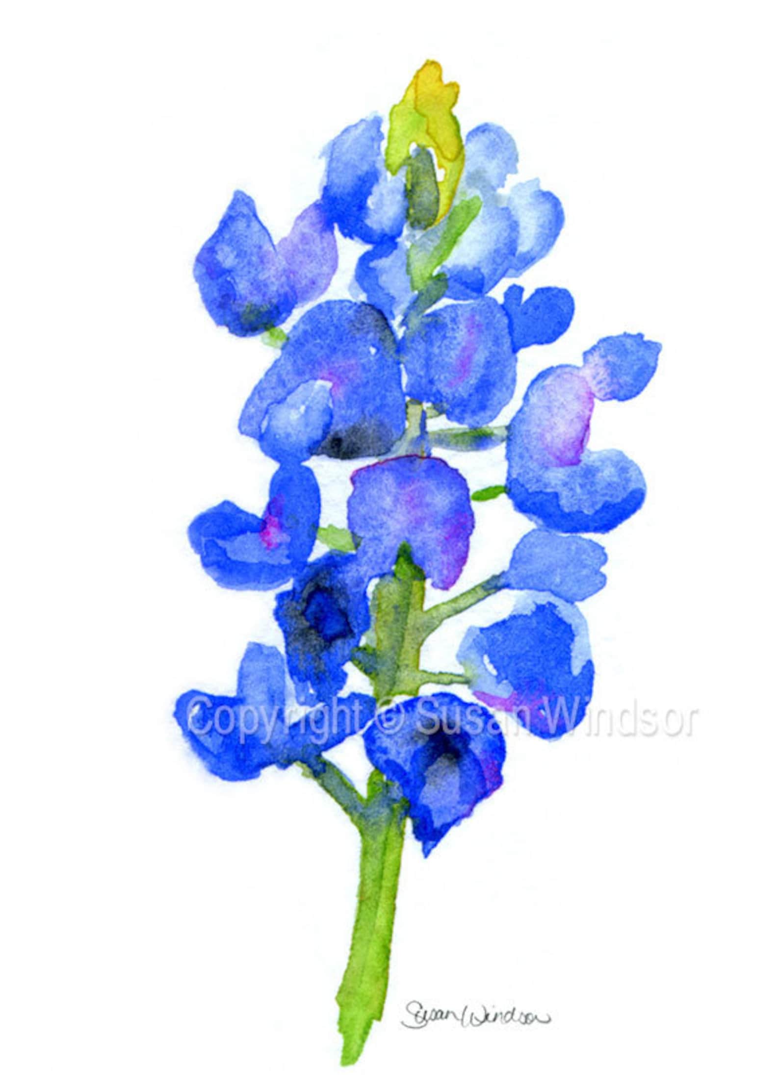 Texas Bluebonnet Watercolor Painting Giclee Print Floral Flower Fine ...