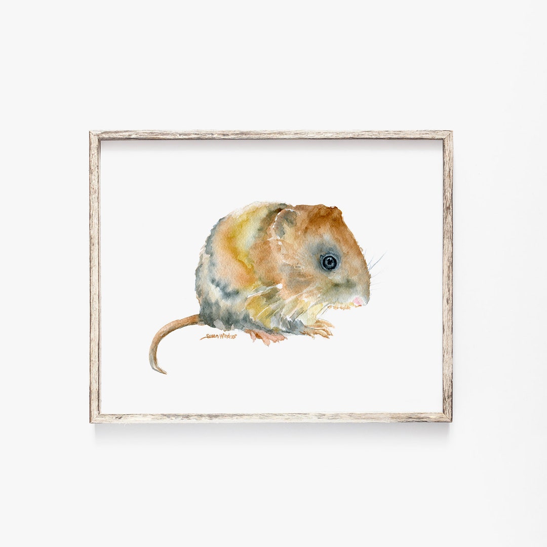 Vole Watercolor Painting Giclee Print - Woodland Animal - Nursery Art ...