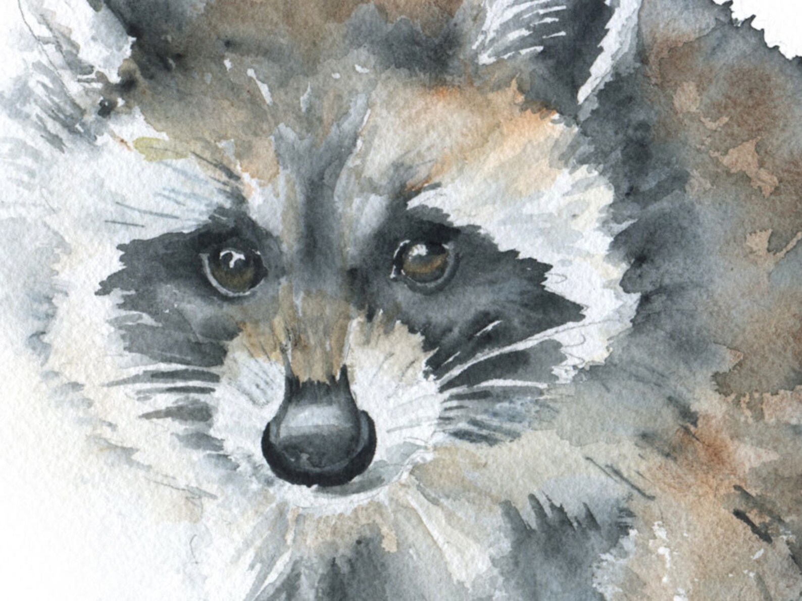 Raccoon Watercolor Painting Giclee Print Nursery Art Woodland - Etsy