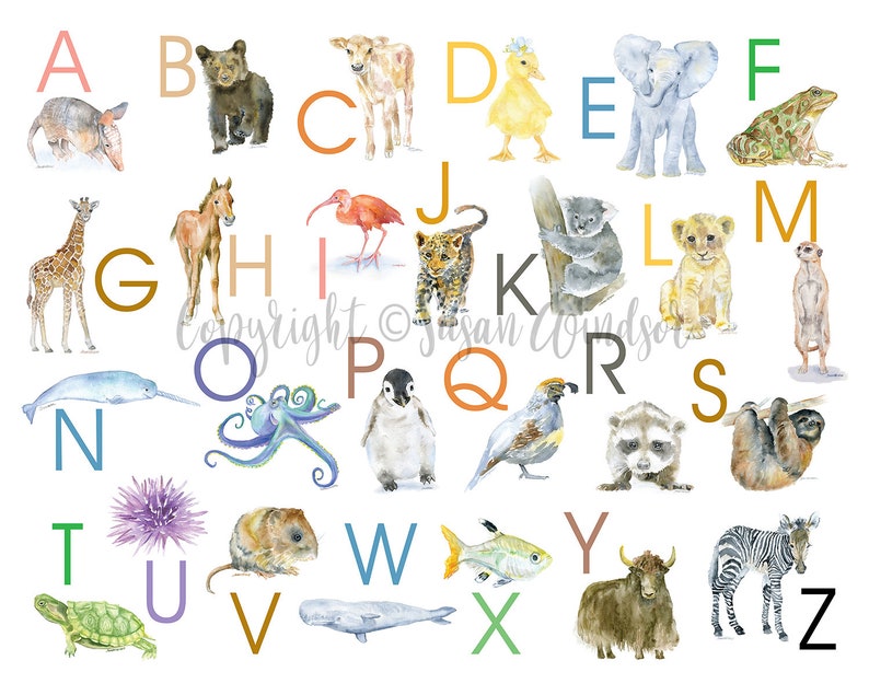 Alphabet Animals Watercolor 2 Poster - Nursery Art - ABC Wall Art ...