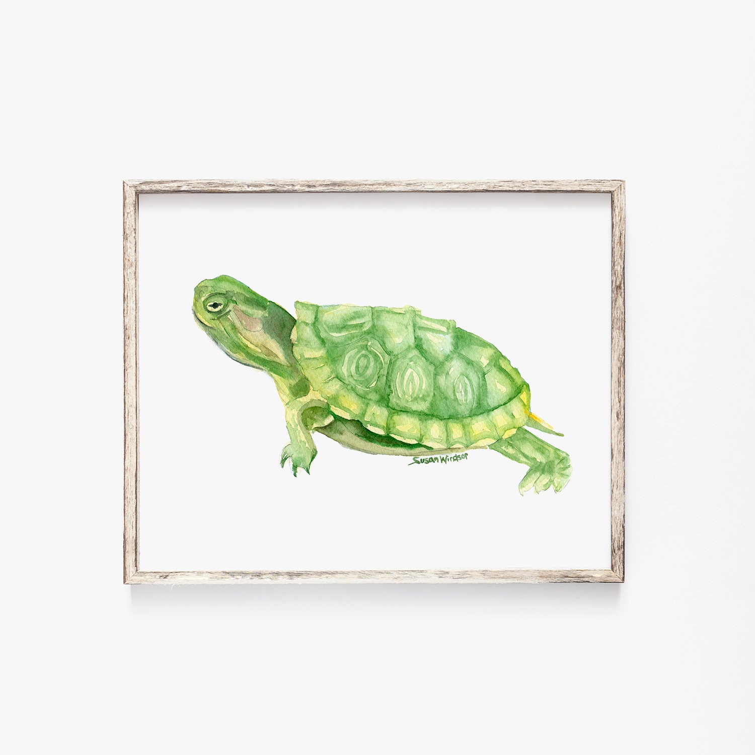 Turtle Watercolor Painting Print Giclee Fine Art Wall Art | Etsy