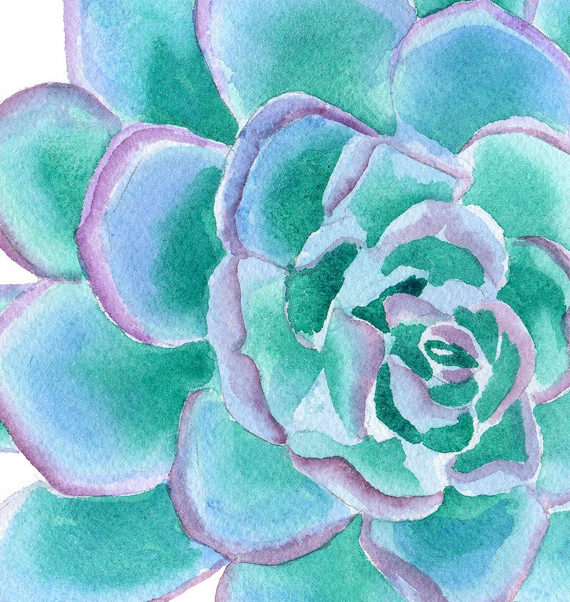 Succulent Watercolor Painting Giclee Print Aqua Blue UNFRAMED - Etsy