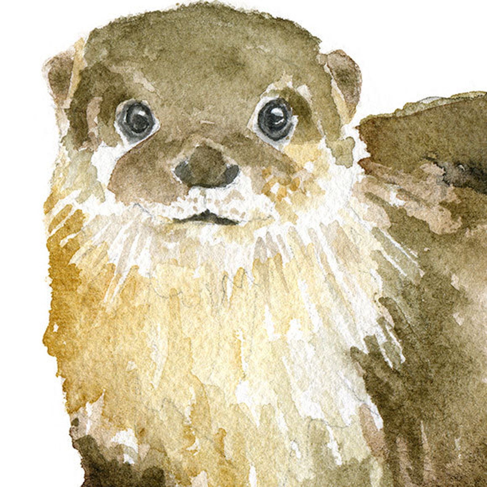 River Otter Watercolor Painting Giclee Reproduction Fine Art - Etsy