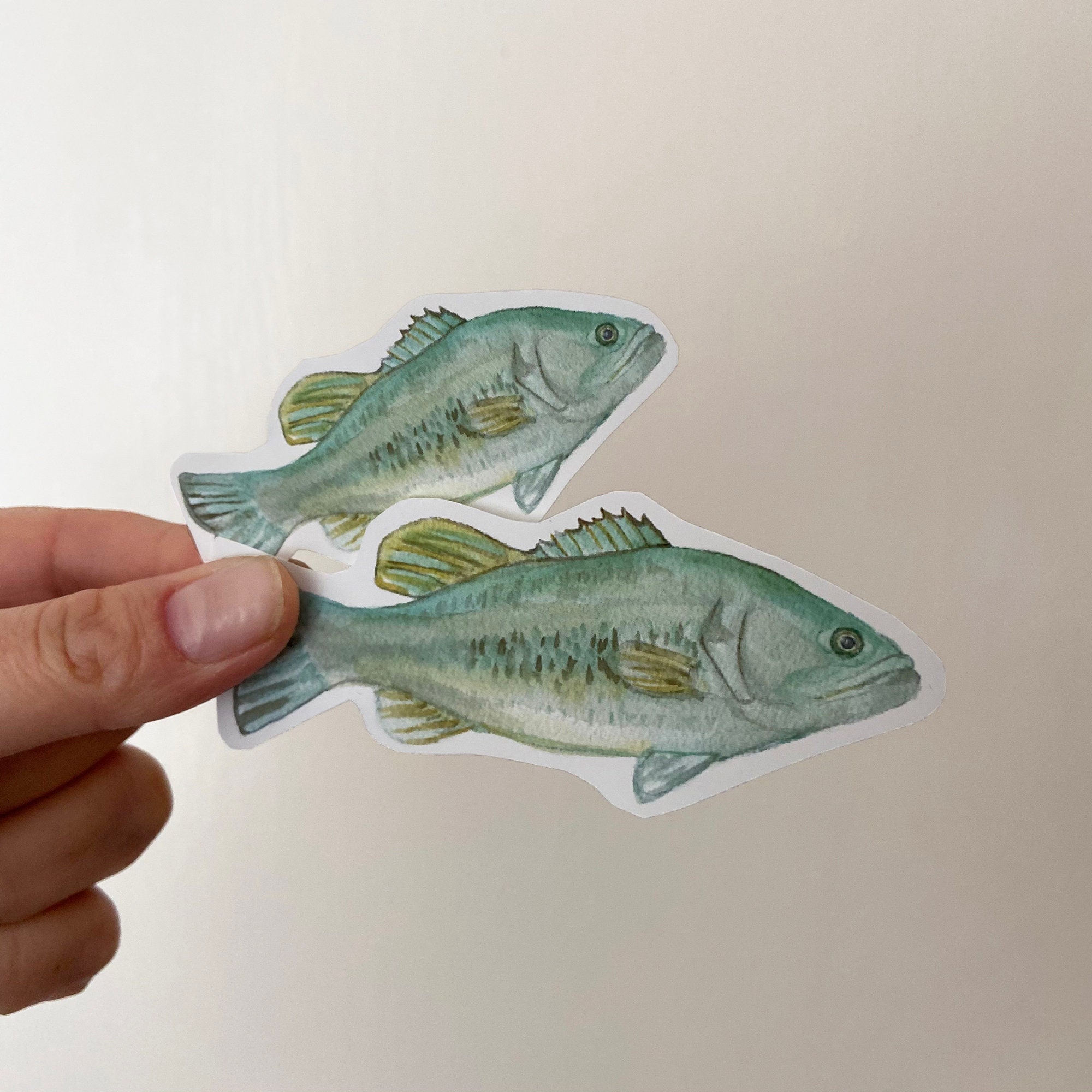 Largemouth Bass Watercolor Vinyl Sticker For Water Bottles | Etsy