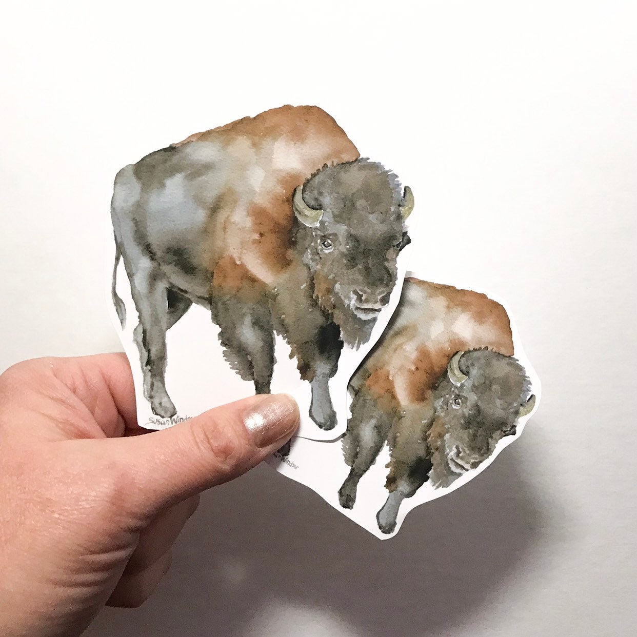 American Bison Vinyl Sticker - for Water Bottles and Laptops - Buffalo ...