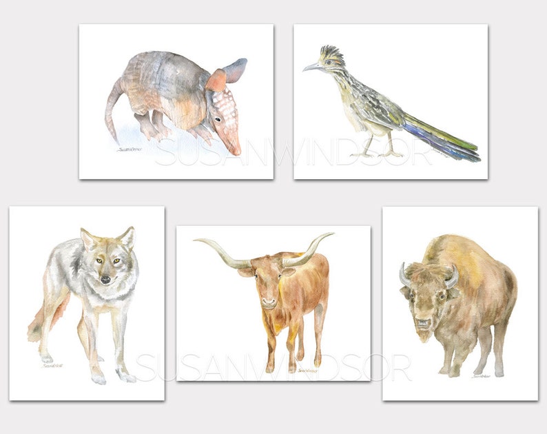 Watercolor Texas Animal Art Prints Western Childrens Room Set of 5 ...