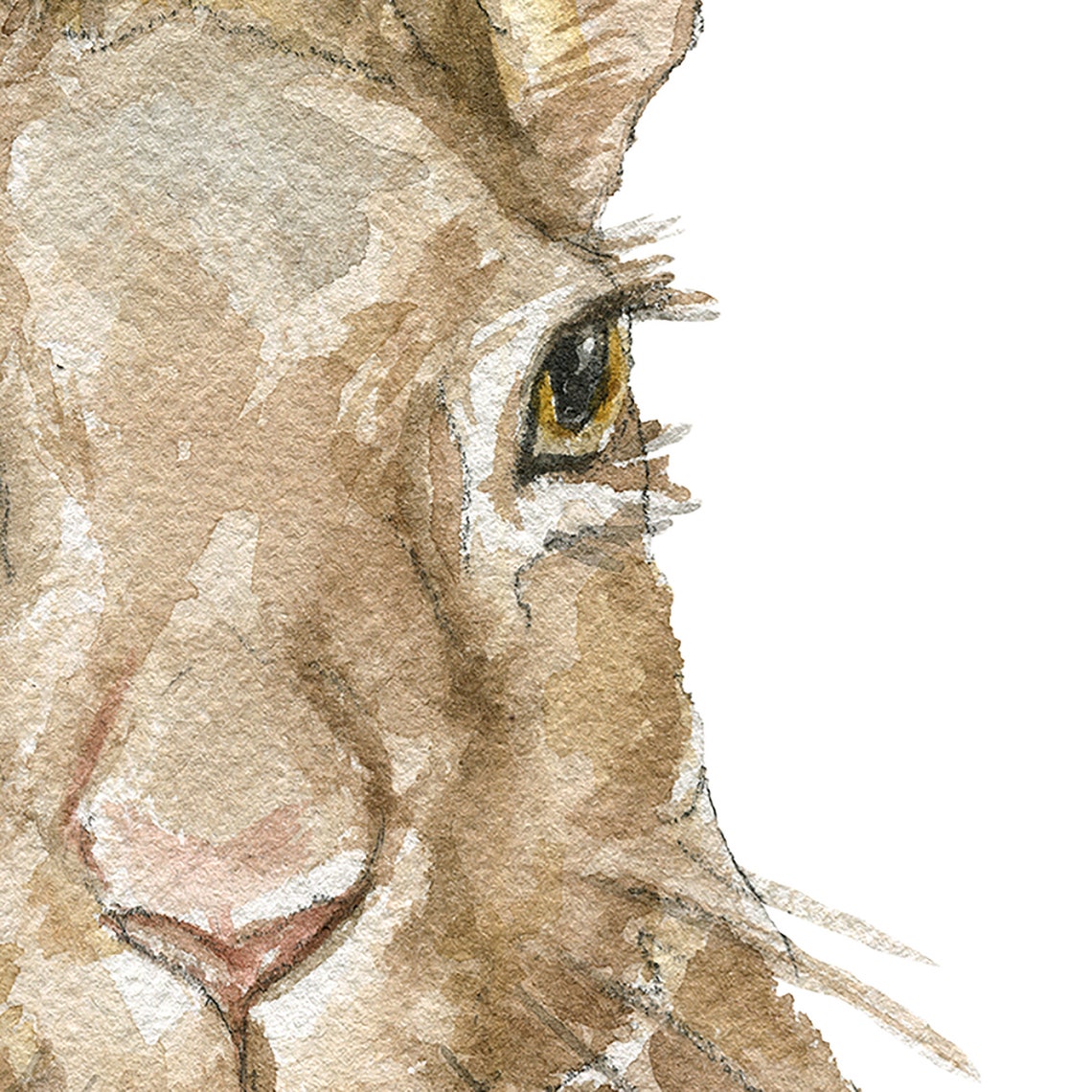 Jackalope Watercolor Painting Large Art Poster Print - Etsy