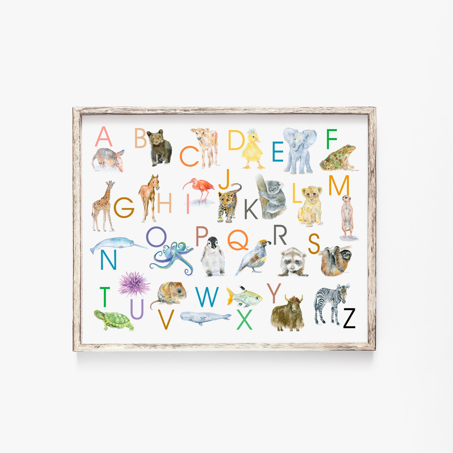 Alphabet Animals Watercolor 2 Poster - Nursery Art - ABC Wall Art ...