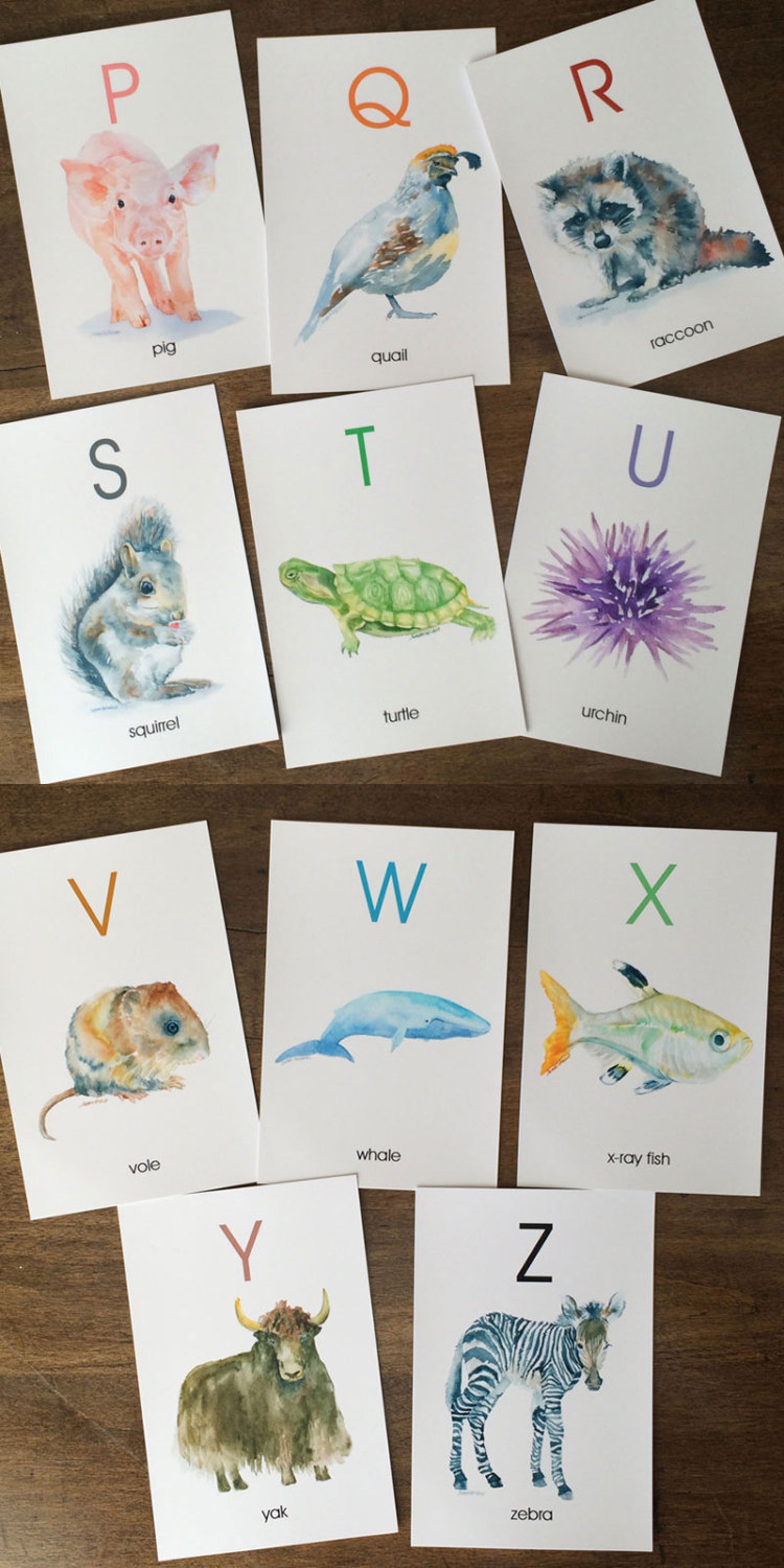 Animal Alphabet Flash Cards - Watercolor Animals - ABC - Watercolor ...