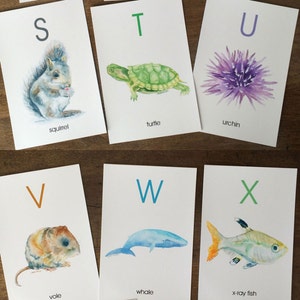 Animal Alphabet Flash Cards - Watercolor Animals - ABC - Watercolor ...
