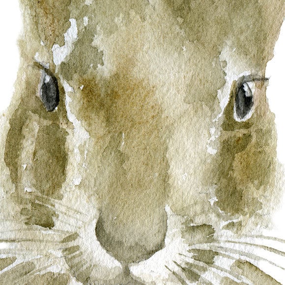 Jack Rabbit Watercolor Painting Large Poster Vertical Format | Etsy