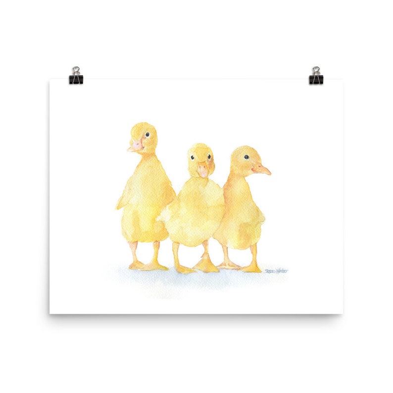Three Ducklings Watercolor 20 x 16 Large Poster Nursery | Etsy