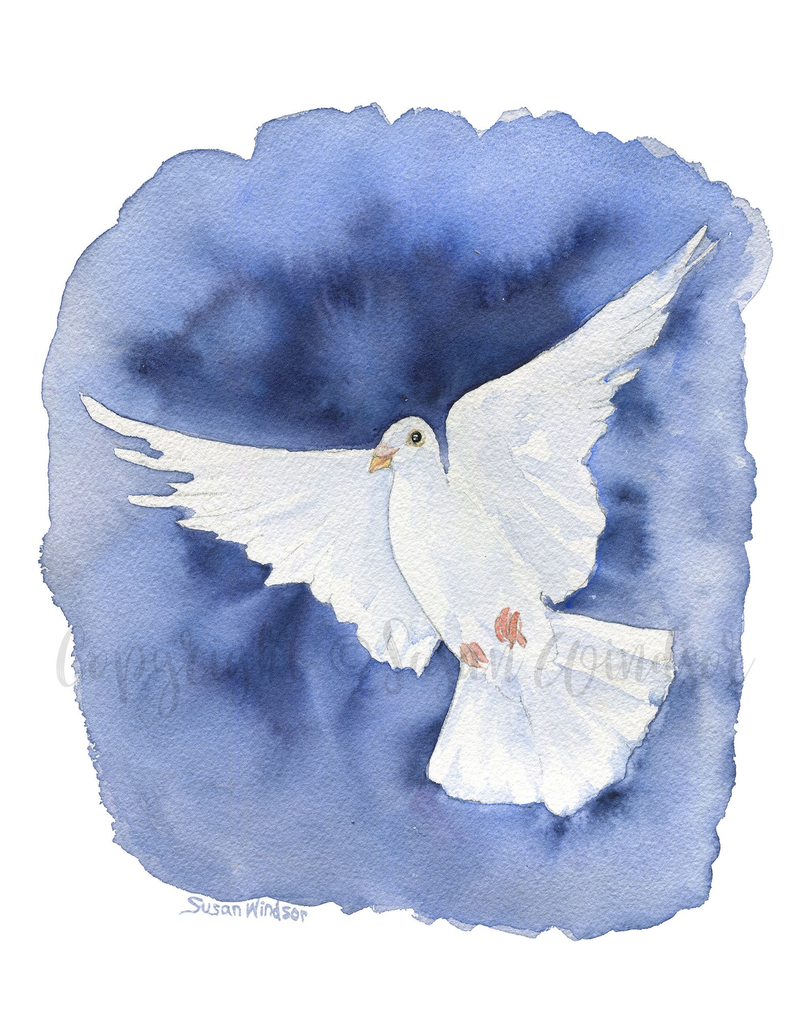 White Dove 2 Watercolor Painting Bird Giclee Print - Etsy